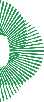 Reconstructive Surgery - Bascom Palmer